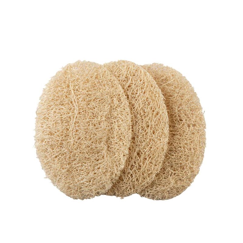 Loofah Peeling Disc (3 in 1) • Up Power